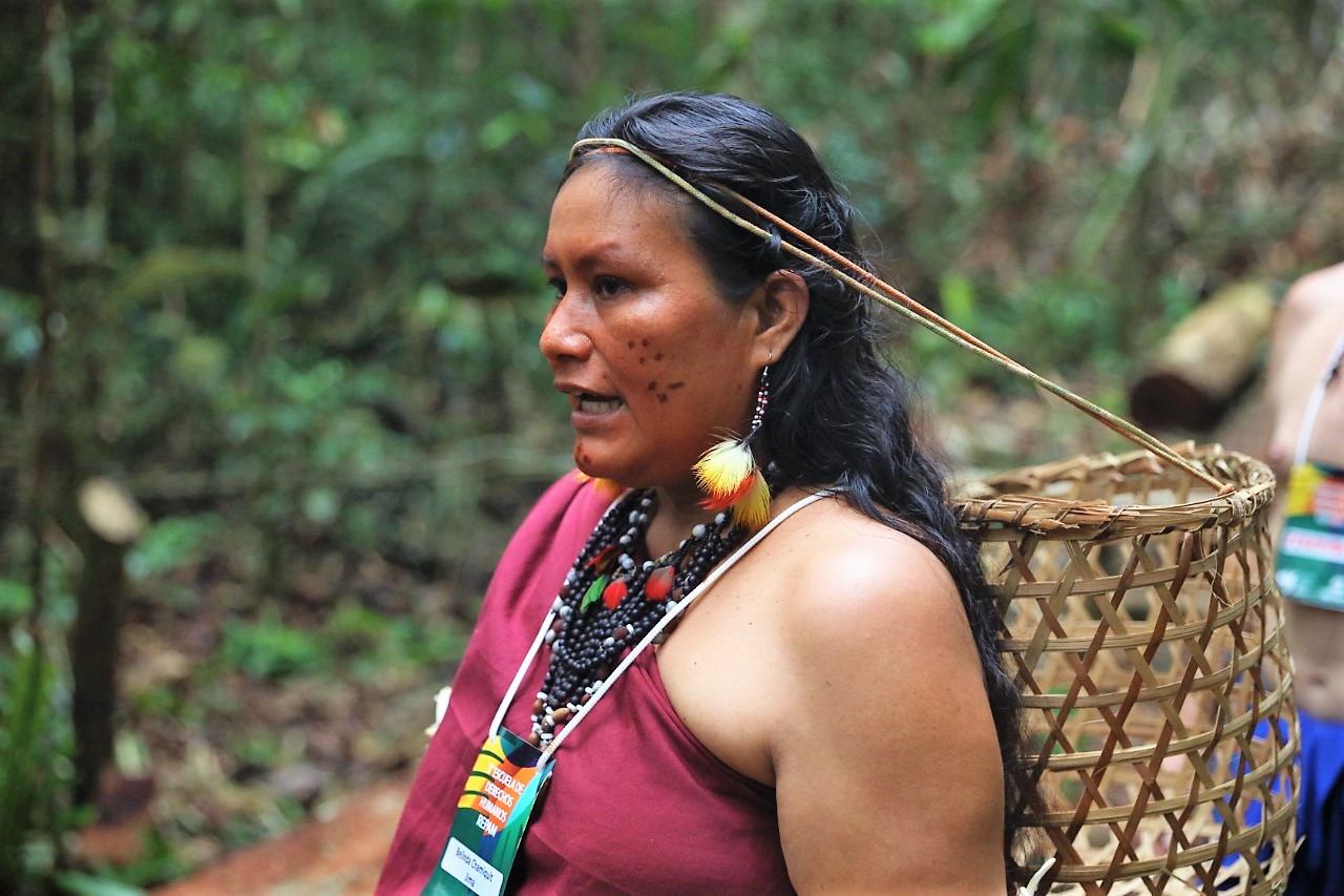 Los pueblos indígenas son los mejores protectores de la Amazonía ...